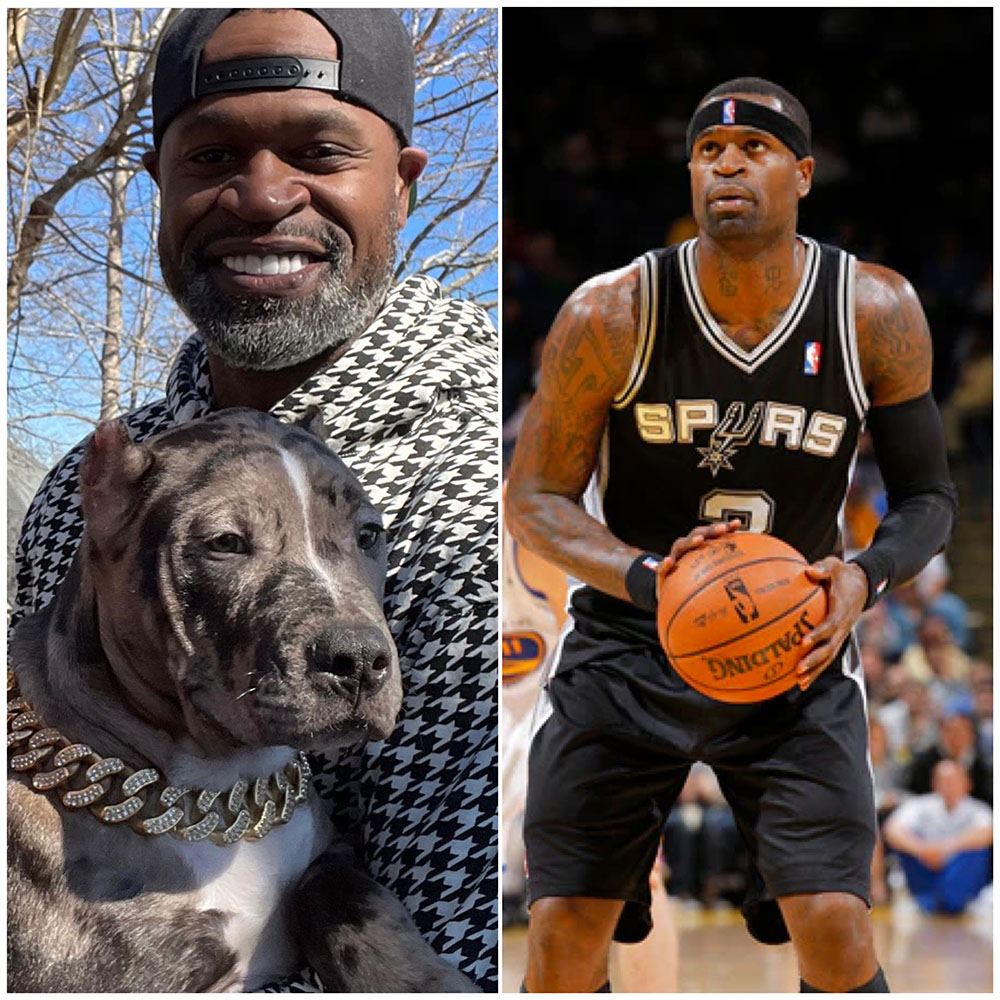 Exotic Bullies Kennelz | XL, XXL, Pocket & Micro American Bully Puppies